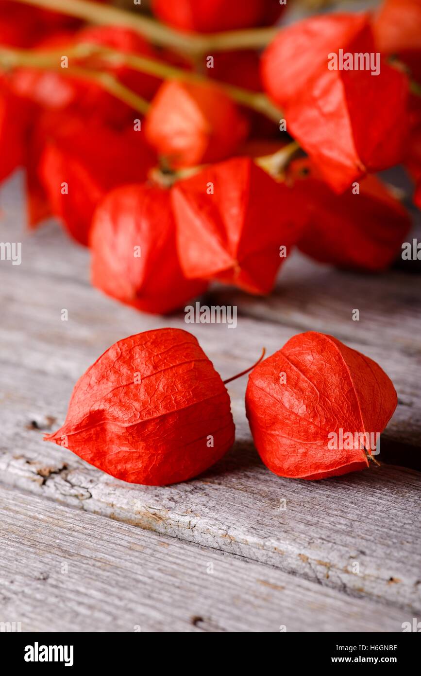 Same flower hi-res stock photography and images - Alamy