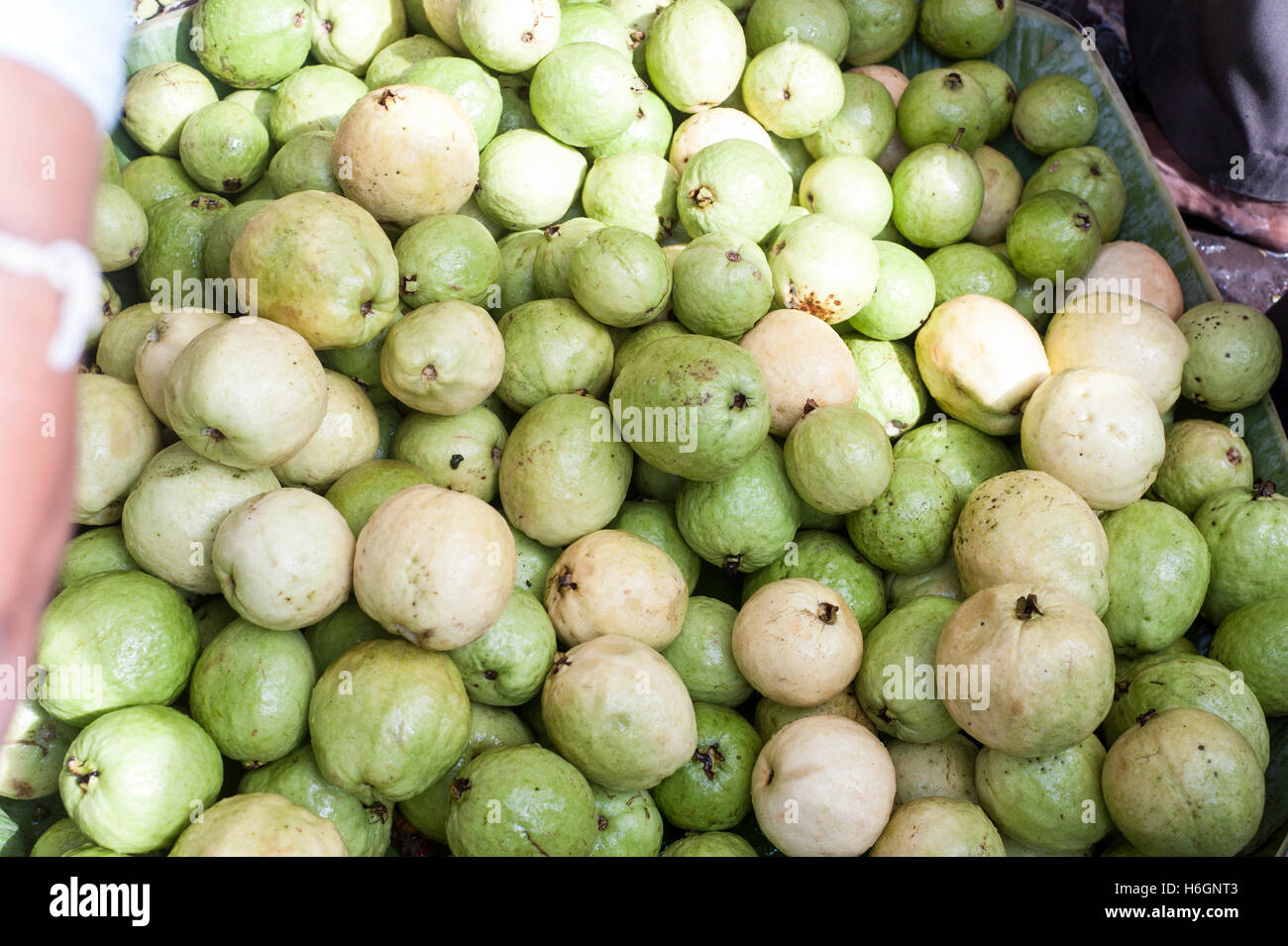 Guava Market Stock Photos & Guava Market Stock Images - Alamy