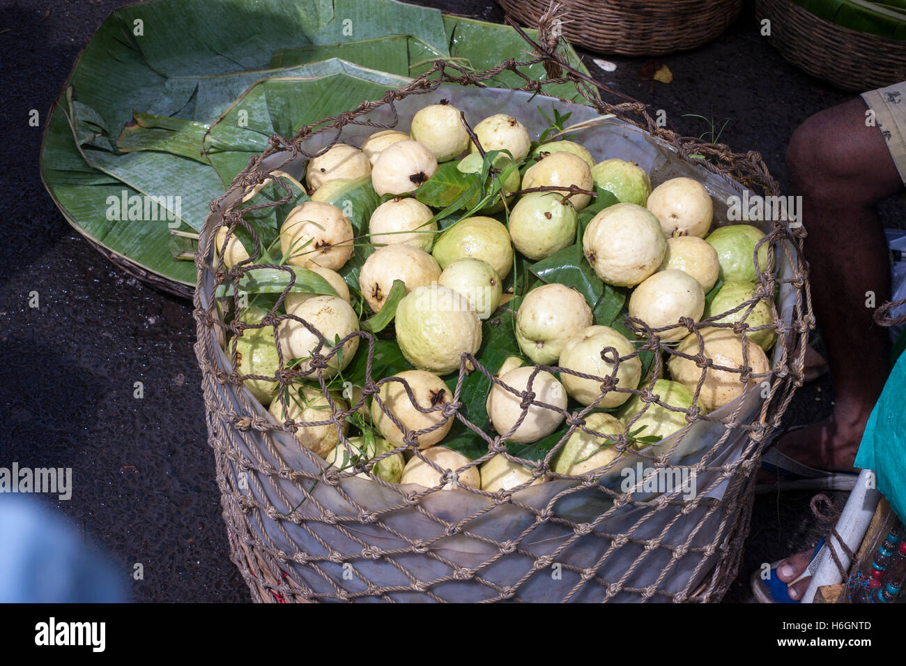 Guava fruits hi-res stock photography and images - Alamy