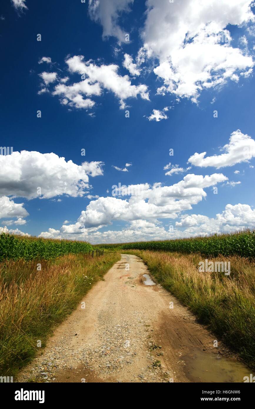 Vertical photo of old broken path from sand and stones with puddles ...