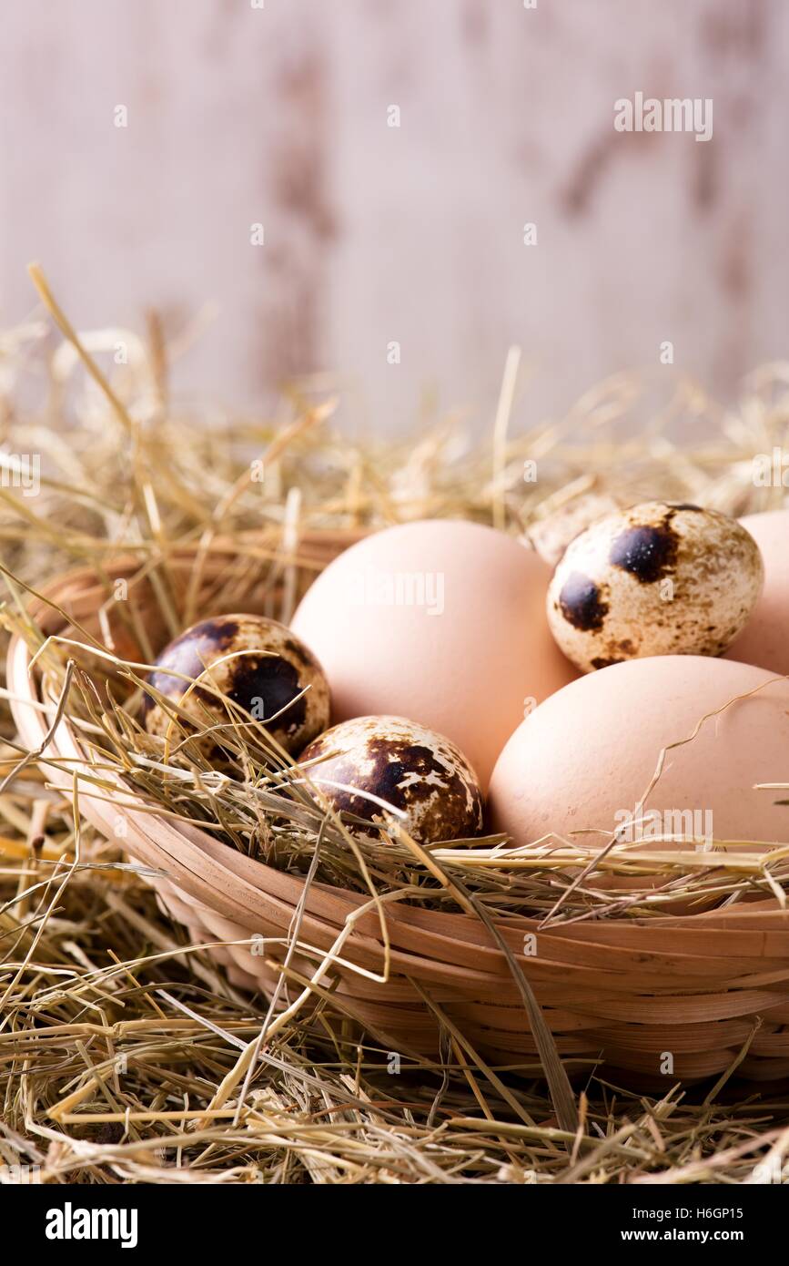 Vertical photo of several hen and quail eggs which are placed on nice ...