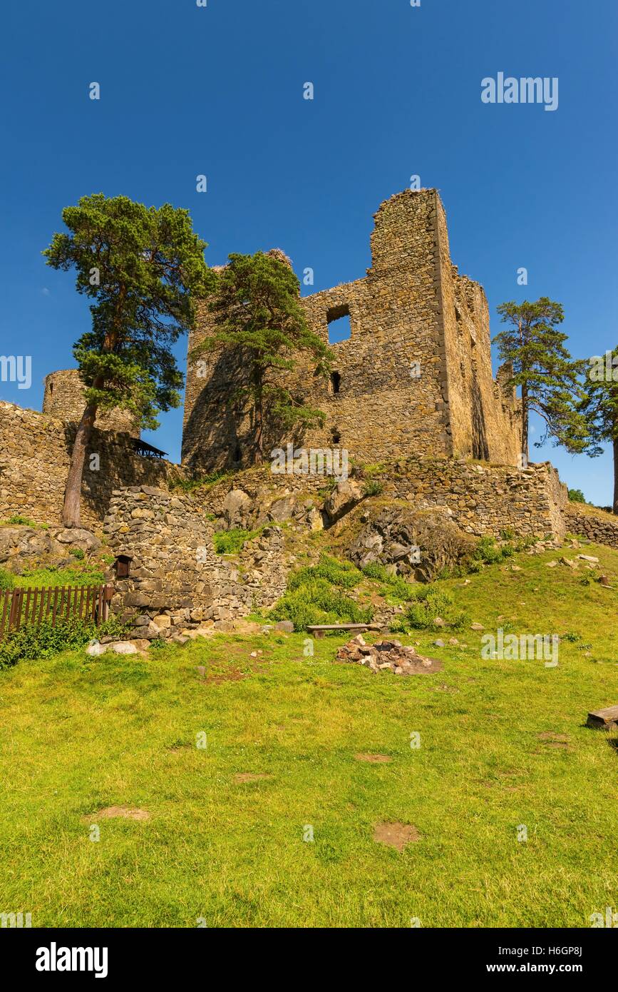 Vertical photo of old medieval castle which is ruined and damaged. Few ...