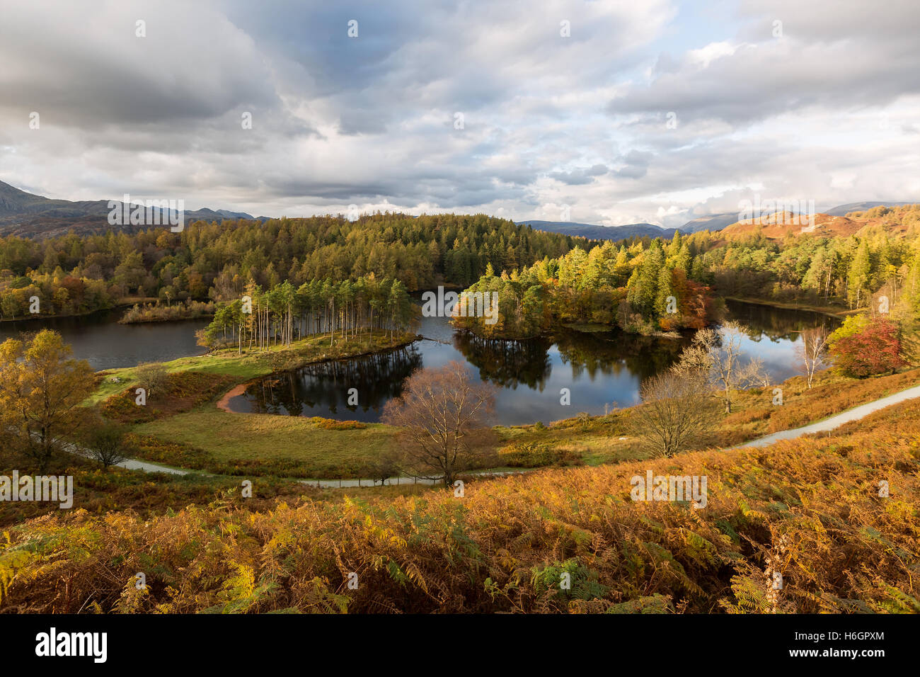 Autumnal View of Tarn Hows in the Lake District, England Stock Photo ...