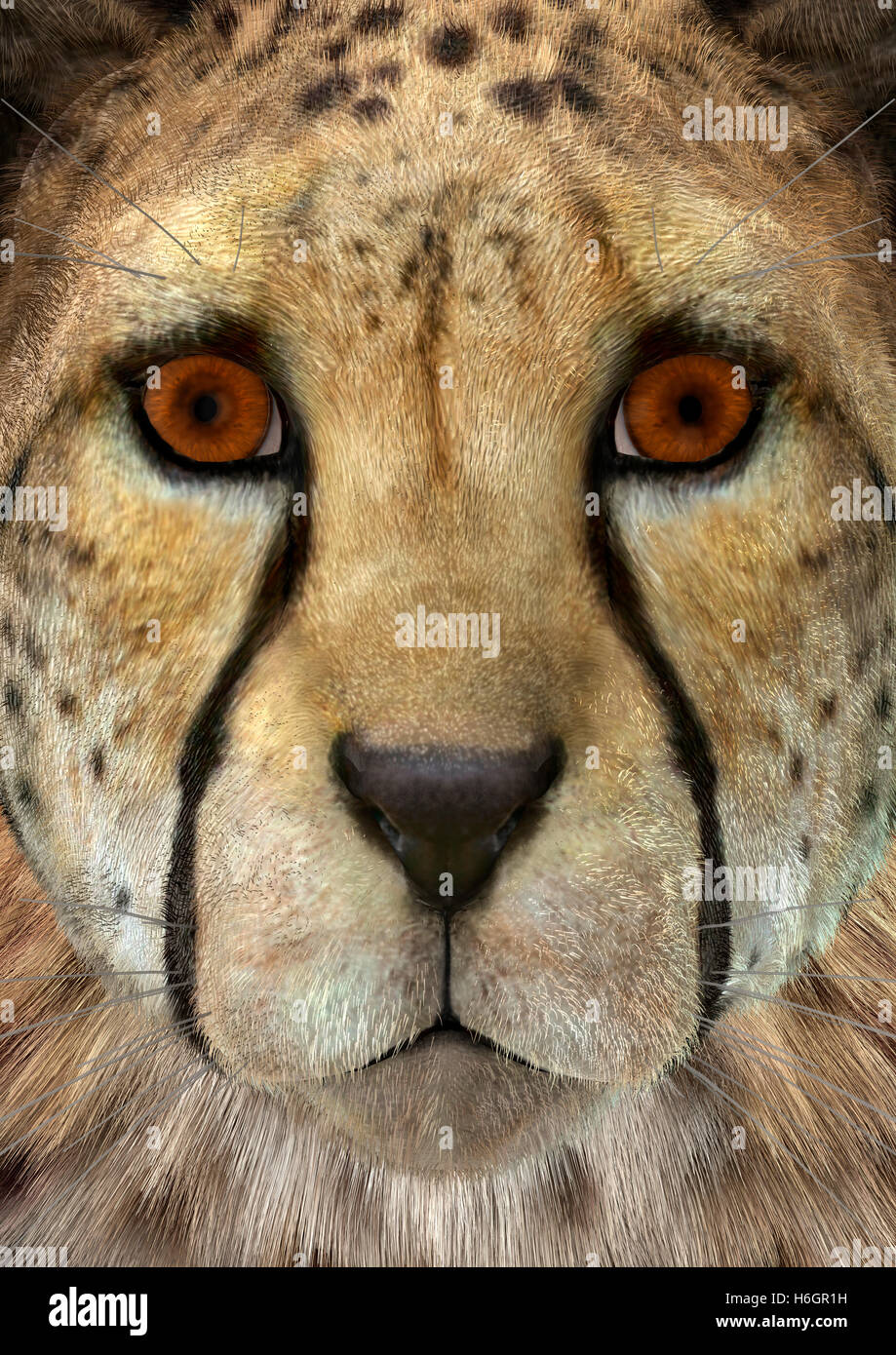 3D rendering of a head of a cheetah, closeup Stock Photo - Alamy