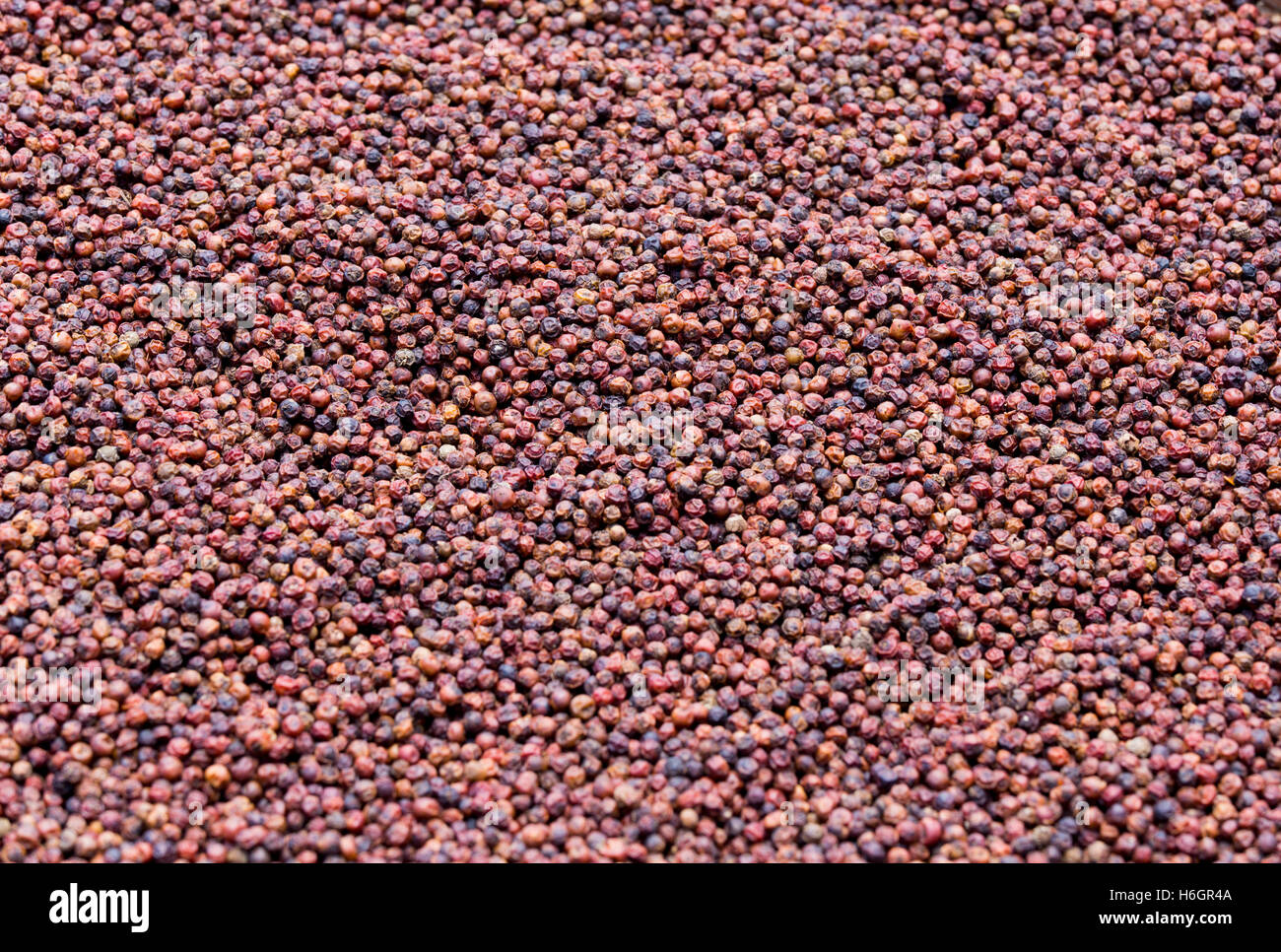 Pepper texture, picture taken in Kampot, Cambodia Stock Photo - Alamy
