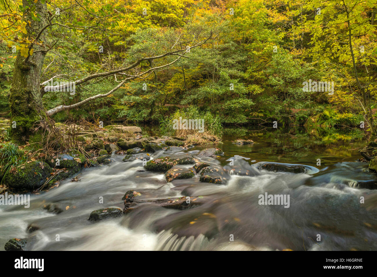 Landscape depicting the beautiful meandering river Teign, Devon on a ...