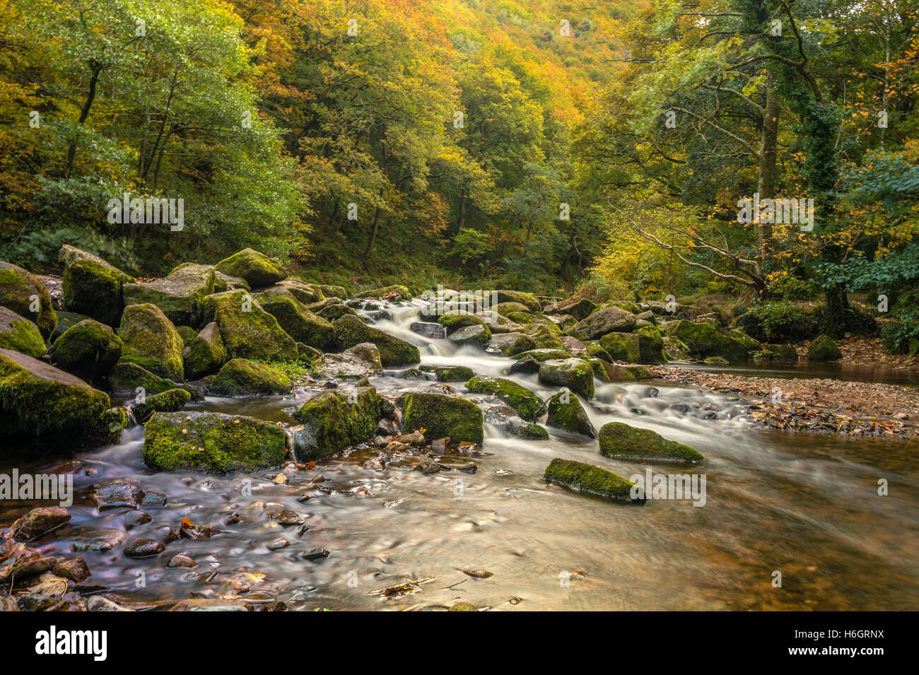 Landscape depicting the beautiful meandering river Teign, Devon on a ...