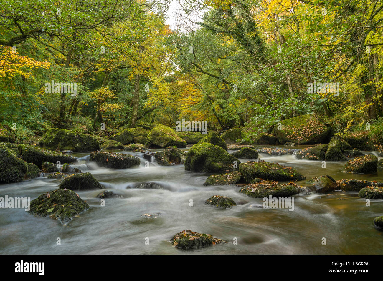 Landscape depicting the beautiful meandering river Teign, Devon on a ...