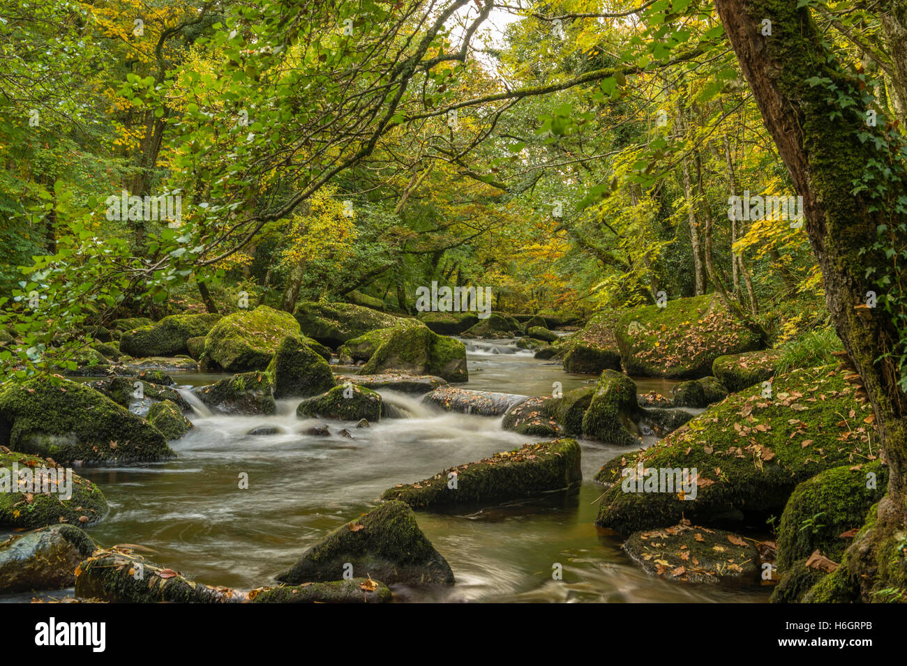 Landscape depicting the beautiful meandering river Teign, Devon on a ...