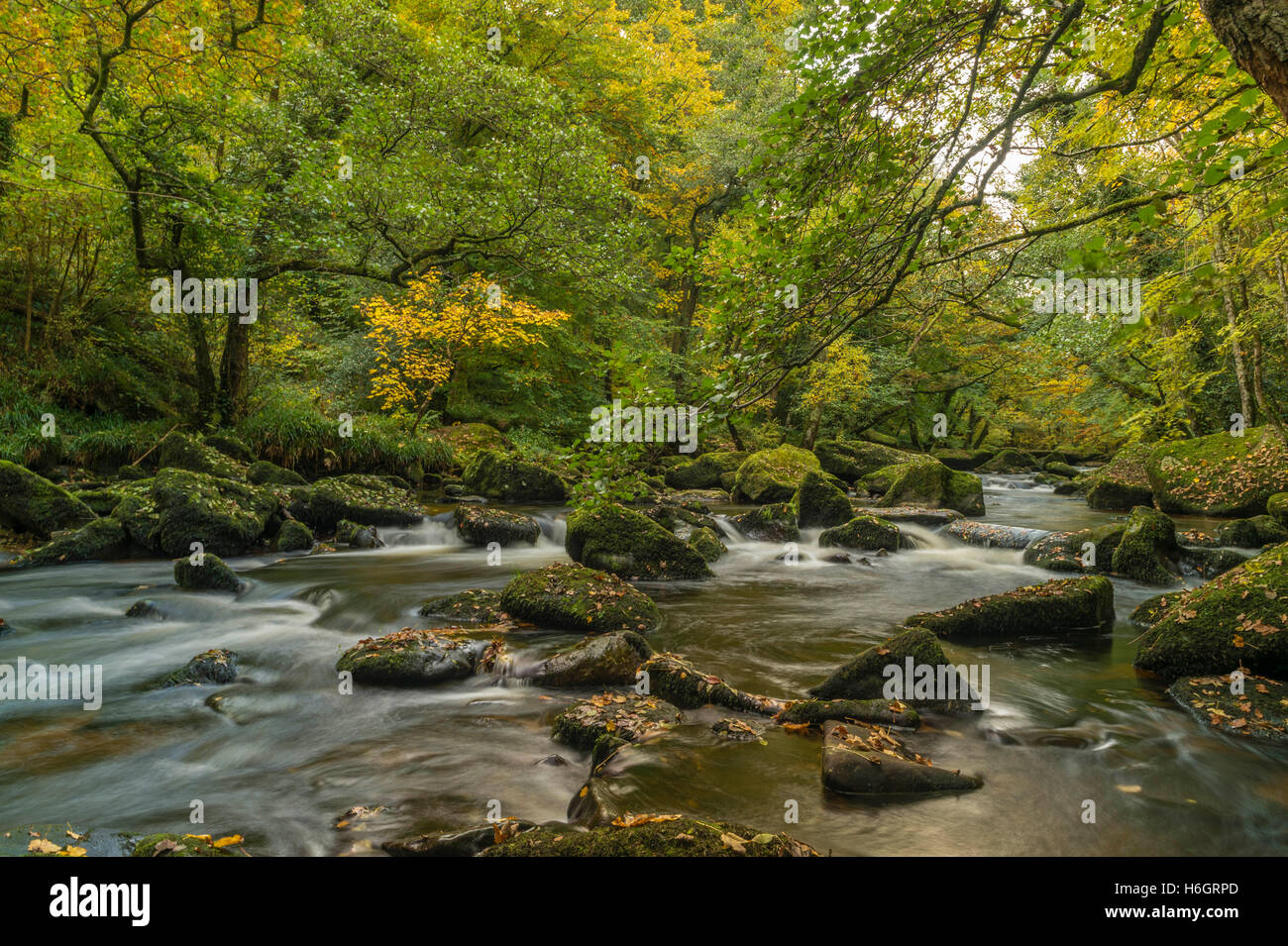Landscape depicting the beautiful meandering river Teign, Devon on a ...