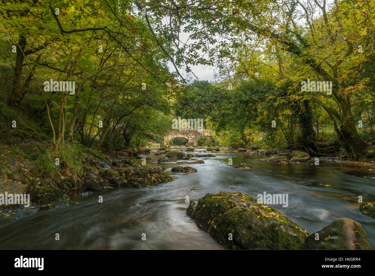Landscape depicting the beautiful meandering river Teign, Devon on a ...
