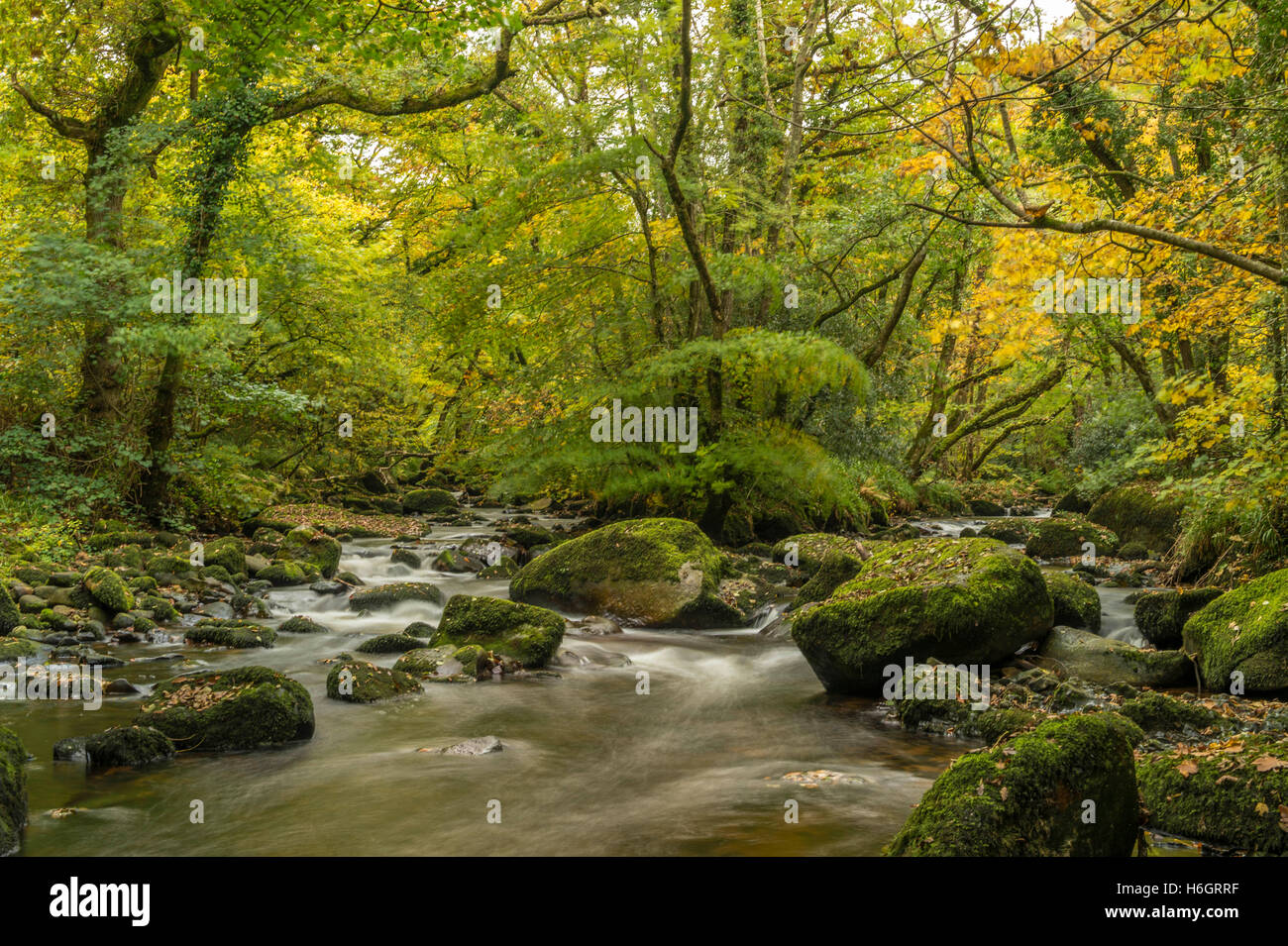 Landscape depicting the beautiful meandering river Teign, Devon on a ...