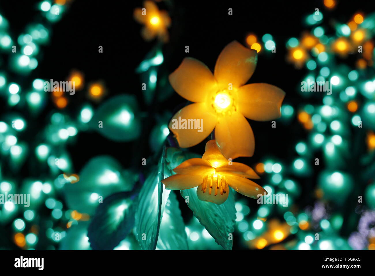 LED flower lights at the i-City, Shah Alam, Selangor, Malaysia Stock ...