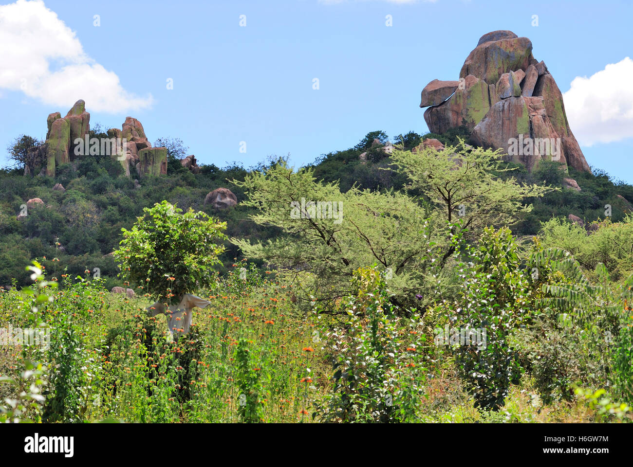 Rock formation around a lake near Nala, Central Tanzania Stock Photo ...