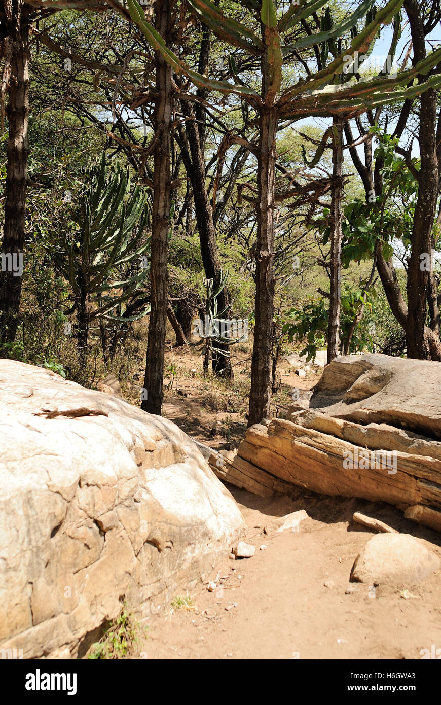 Mbulu hi-res stock photography and images - Alamy