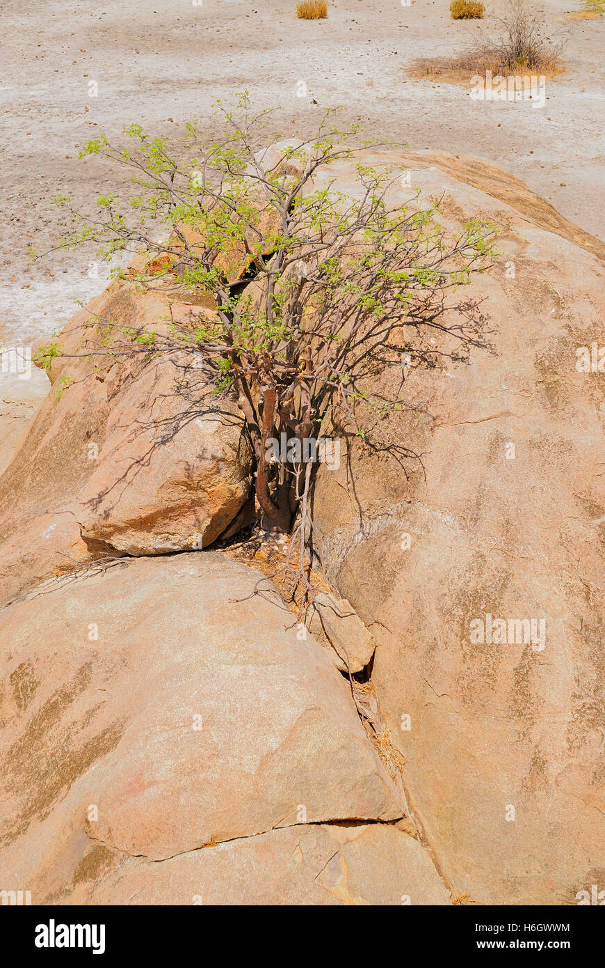 Rock formation around a lake near Nala, Central Tanzania Stock Photo ...