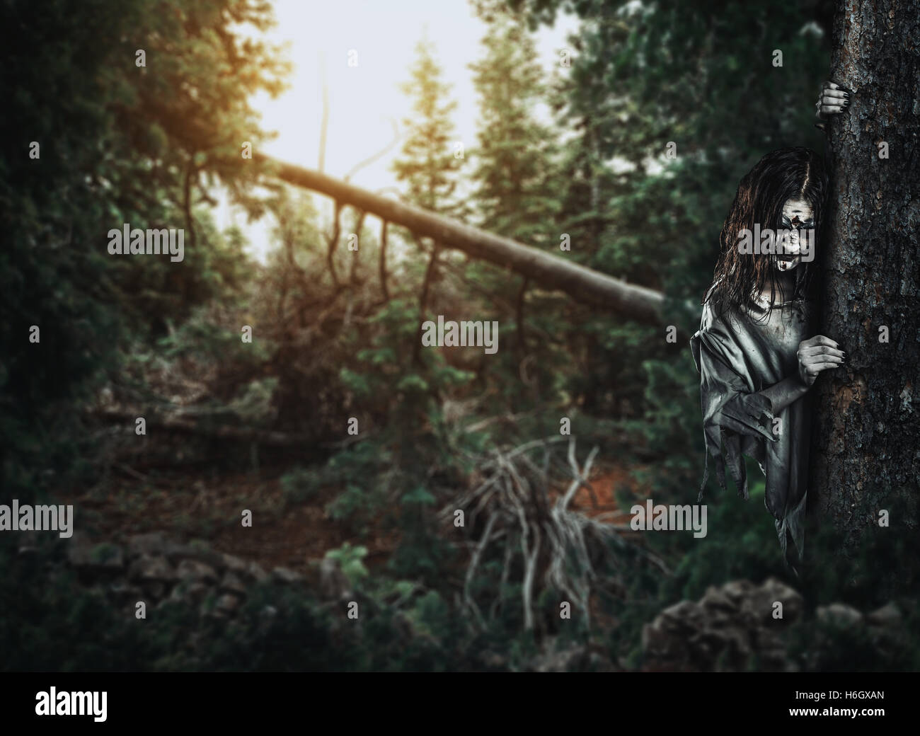 Fantasy gothic horror tree hi-res stock photography and images - Alamy