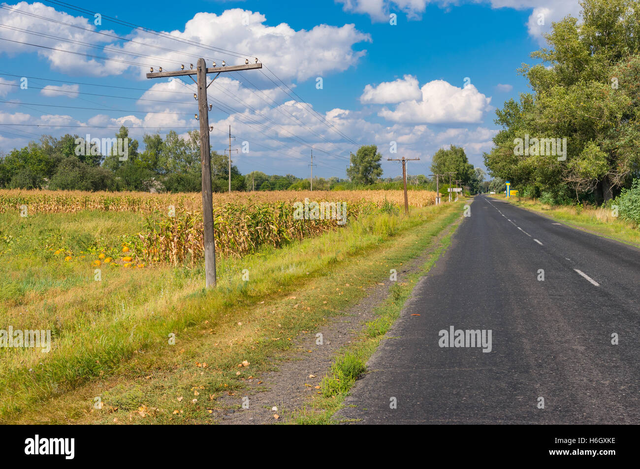 Summer landscape with asphalt road leading to small village Rublivka in ...