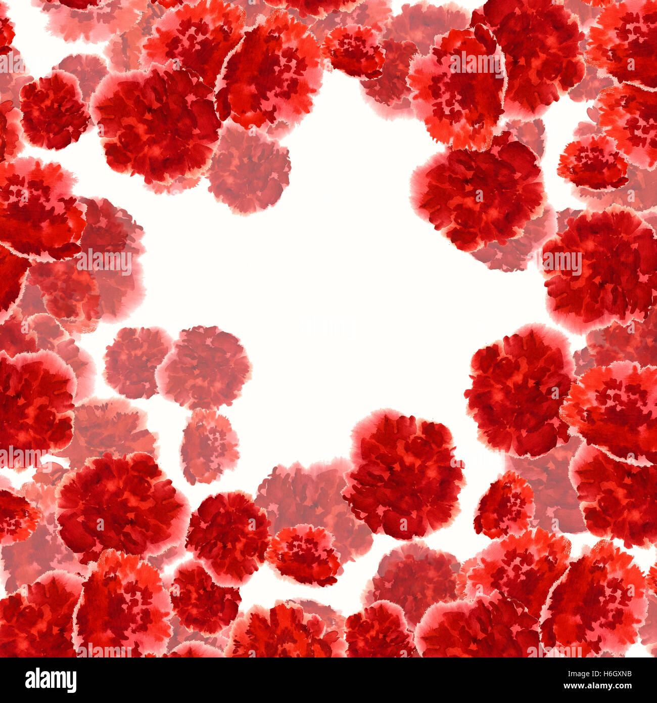 Carnation Red watercolor pattern Stock Photo - Alamy