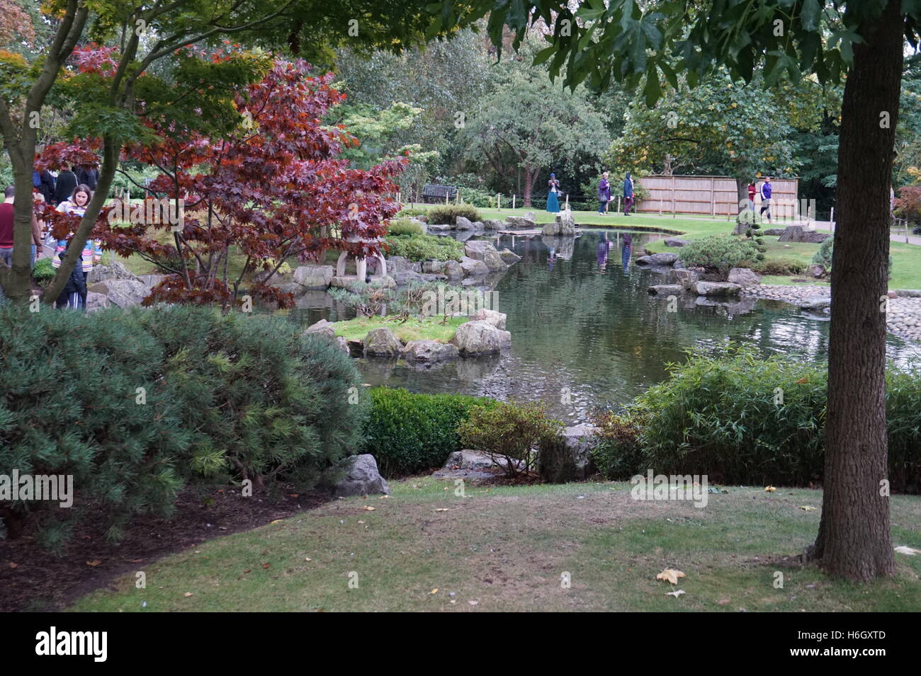 London holland park fish hi-res stock photography and images - Alamy