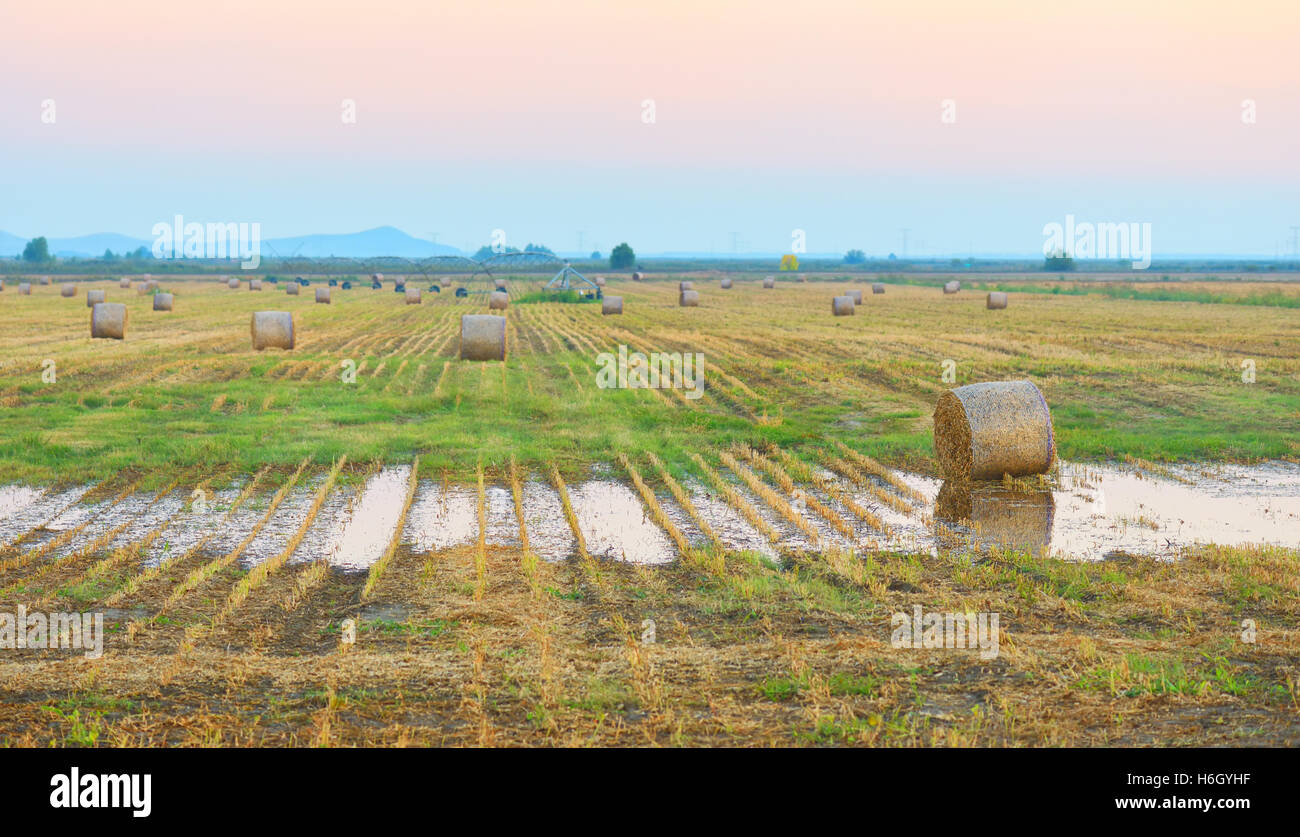 sunset over farm field with hay bales Stock Photo - Alamy