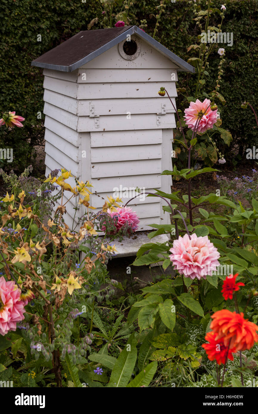 Bee hive in a garden at Den Gamle By, Aarhus, Denmark Stock Photo - Alamy