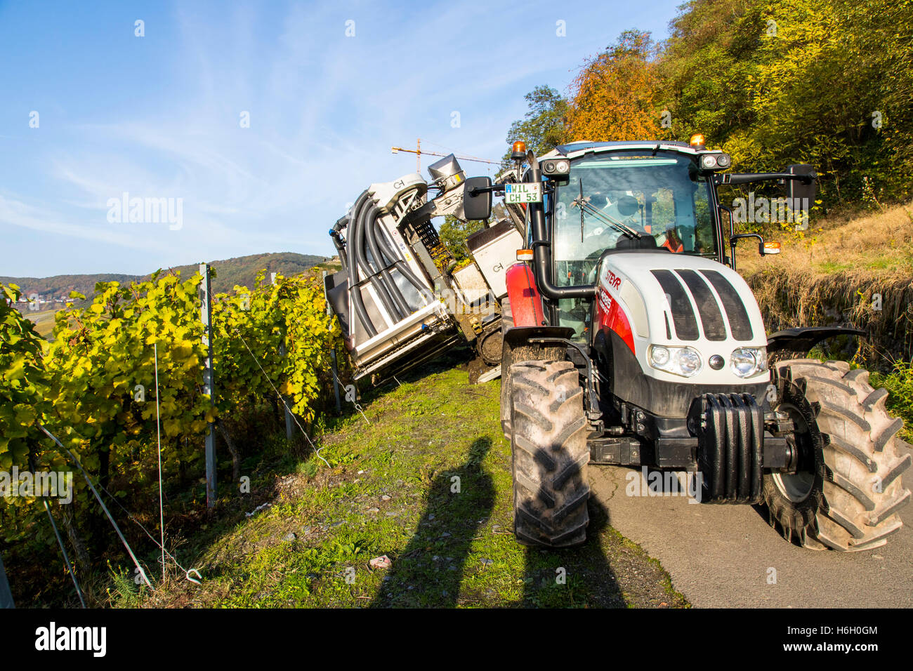 Harvesting machine for grapes, especially for steep slopes, on ...