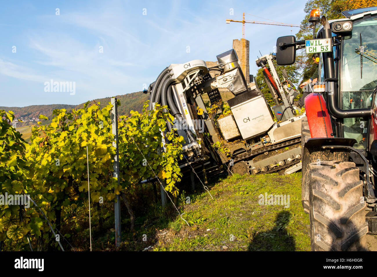 Harvesting machine for grapes, especially for steep slopes, on ...