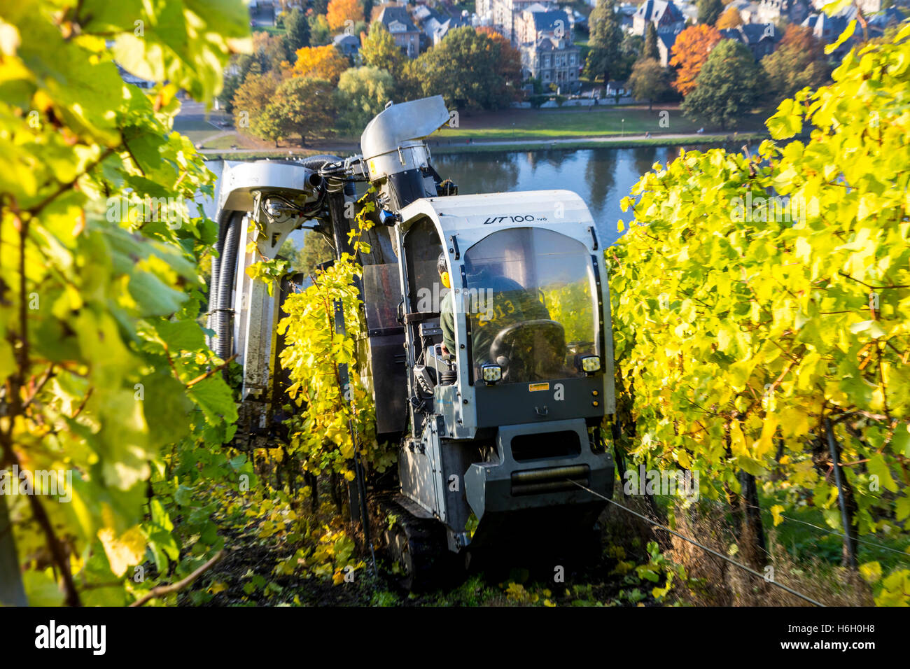 Harvesting machine for grapes, especially for steep slopes, on ...