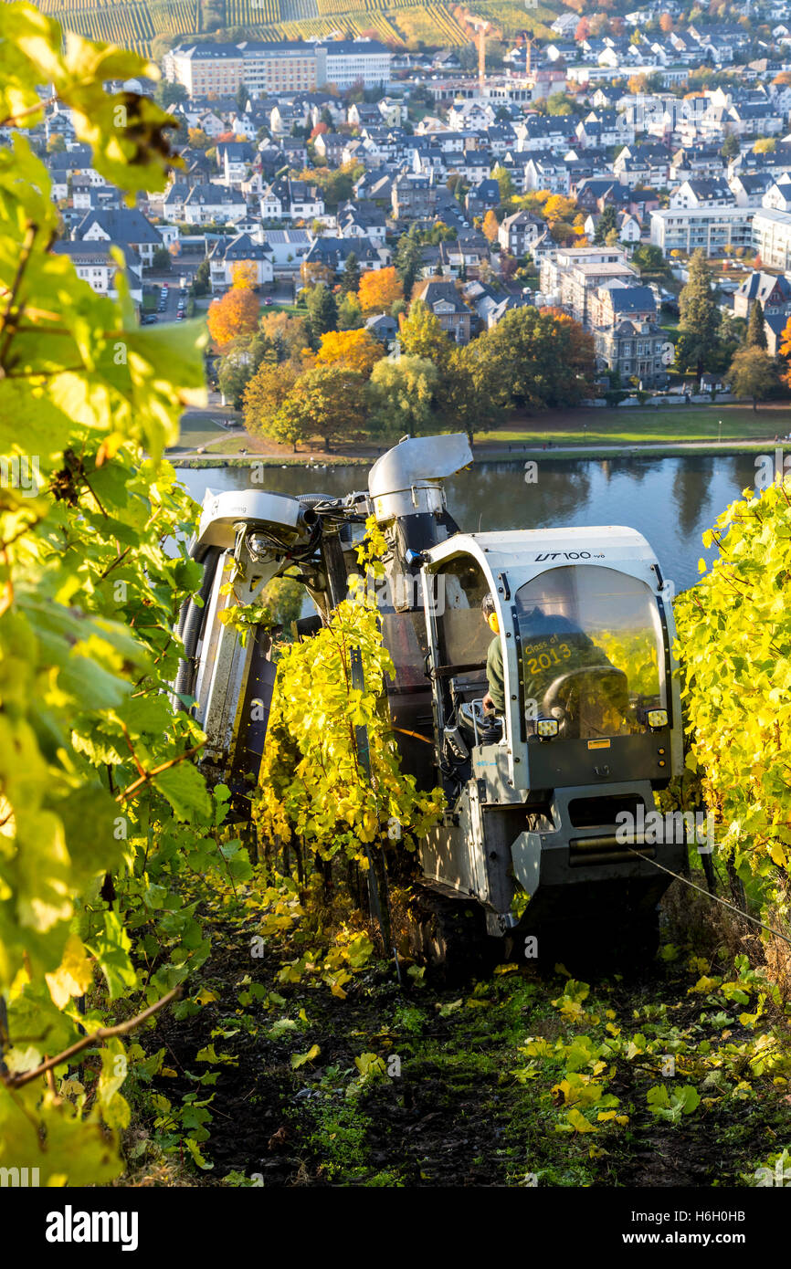 Harvesting machine for grapes, especially for steep slopes, on ...