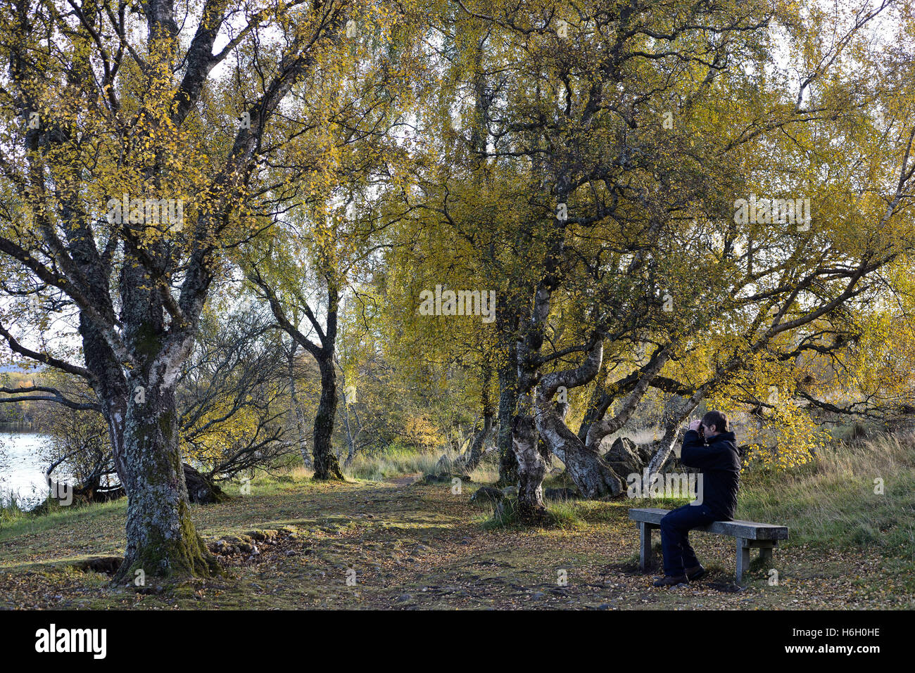 Birdwatching in the Muir of Dinnet National Nature Reserve Cairngorms ...