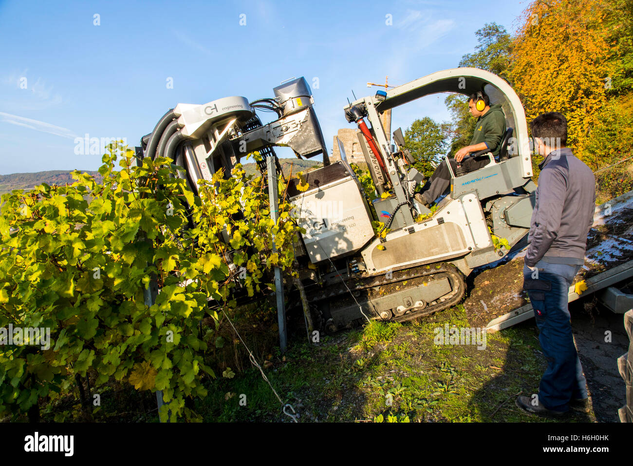 Harvesting machine for grapes, especially for steep slopes, on ...