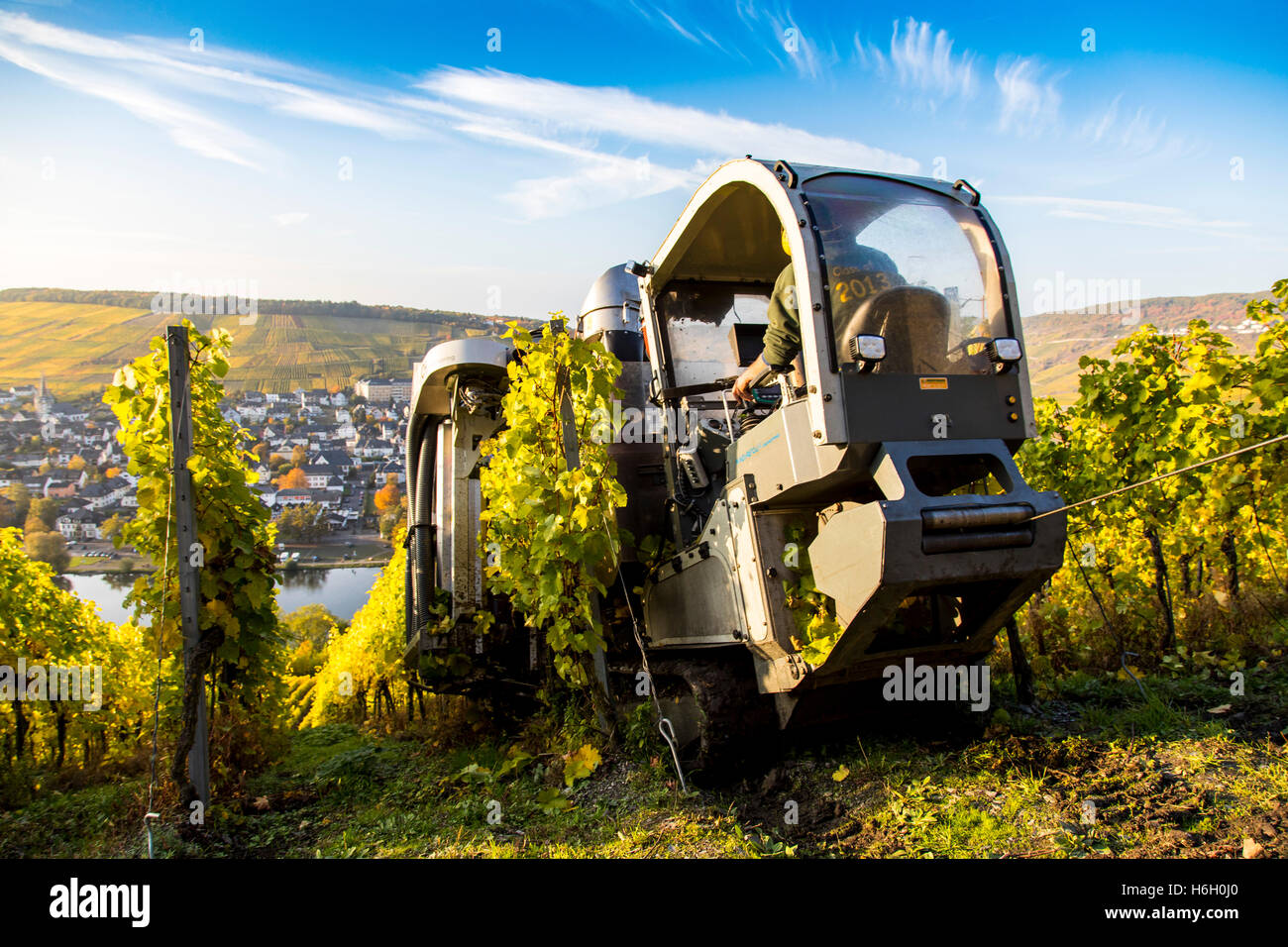 Harvesting machine for grapes, especially for steep slopes, on ...