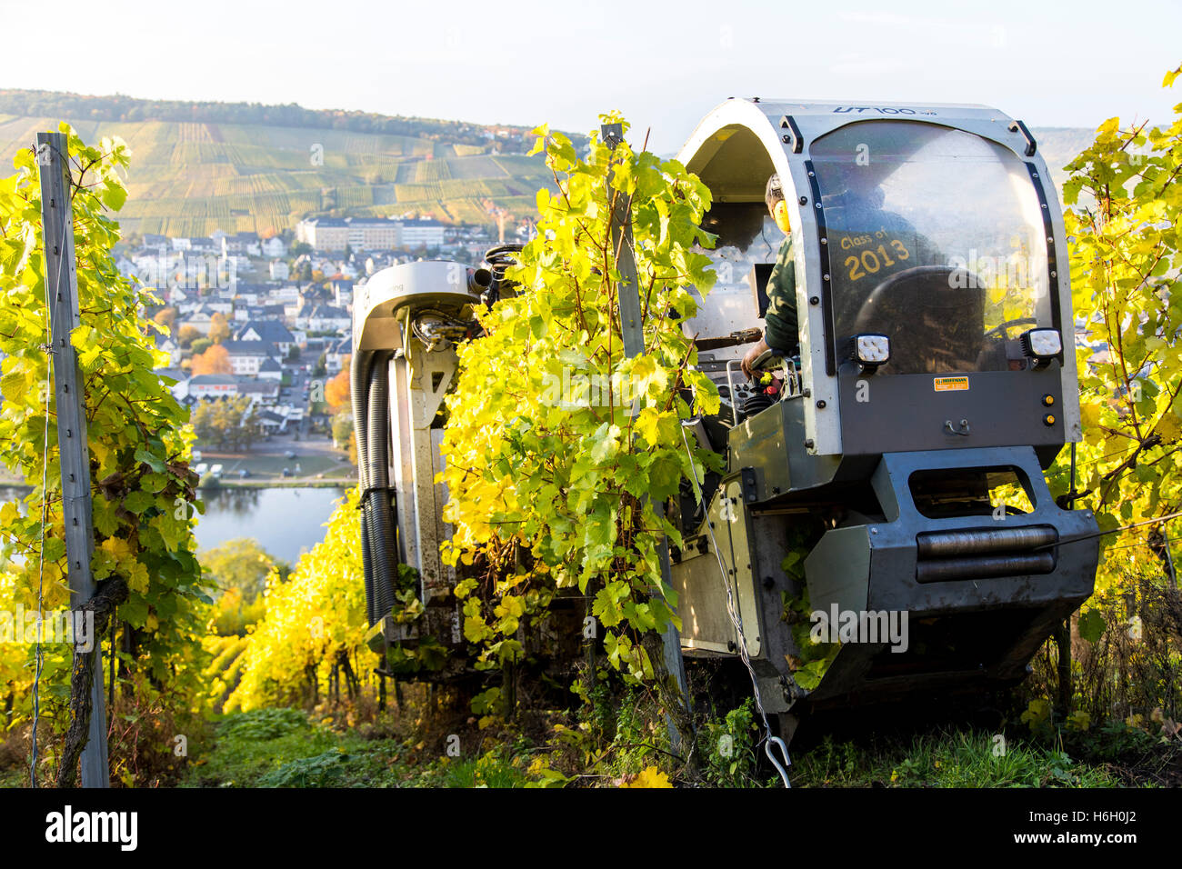 Harvesting machine for grapes, especially for steep slopes, on ...