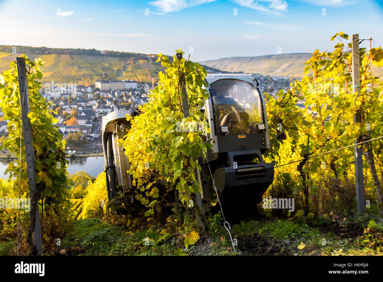 Harvesting machine for grapes, especially for steep slopes, on ...