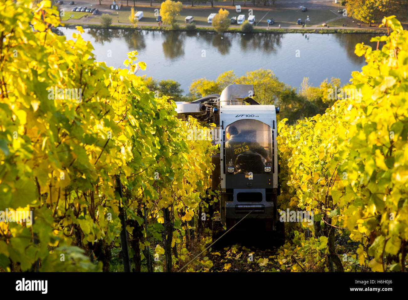 Harvesting machine for grapes, especially for steep slopes, on ...