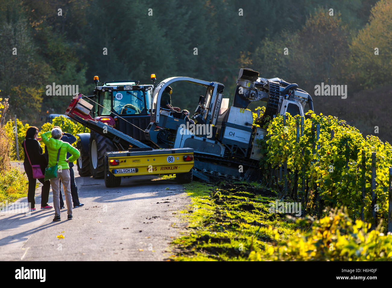 Harvesting machine for grapes, especially for steep slopes, on ...