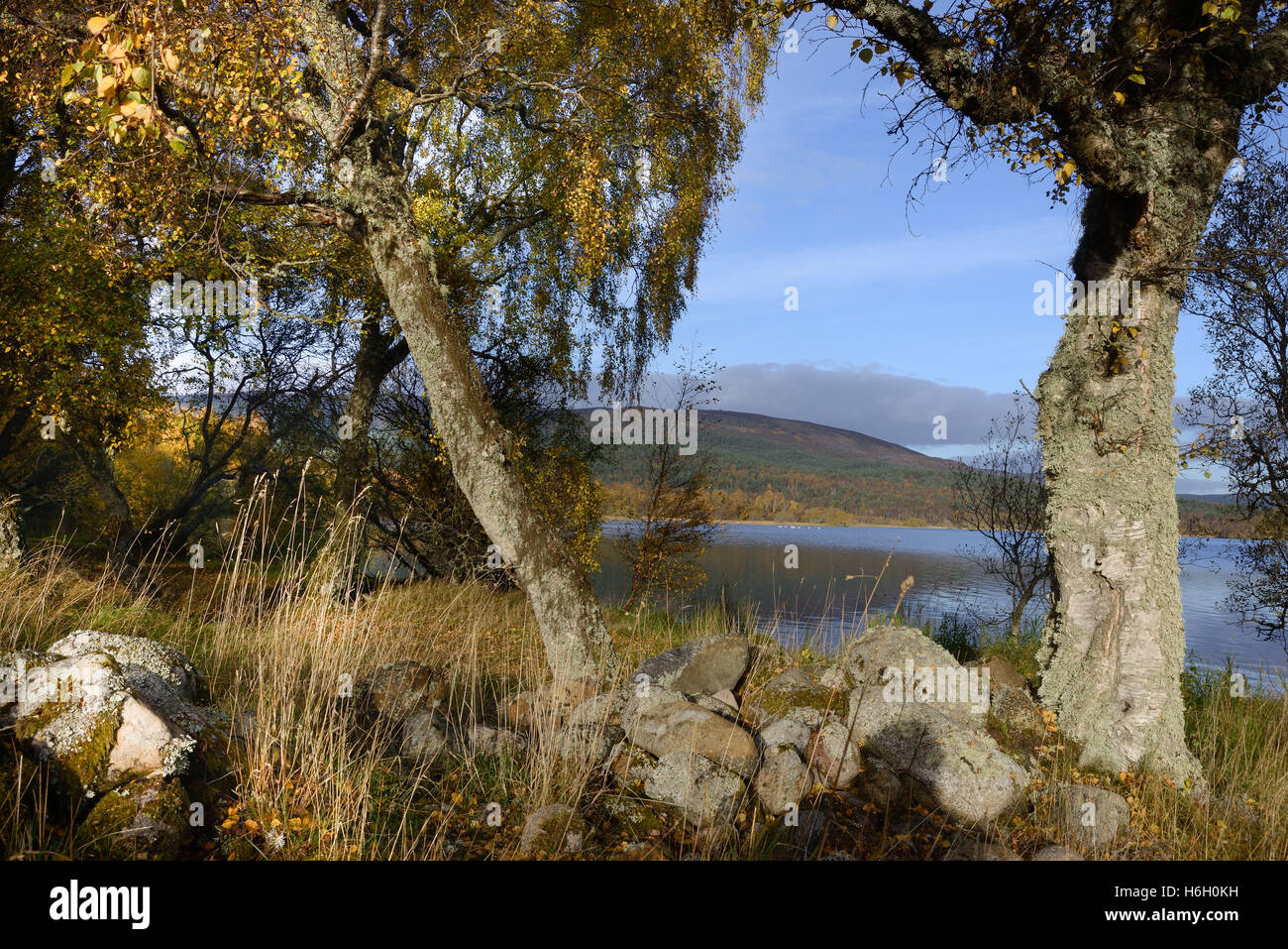 Loch Kinord and the Muir of Dinnet National Nature Reserve Cairngorms ...