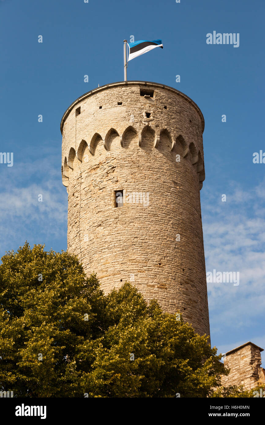 Toompea castle hi-res stock photography and images - Alamy