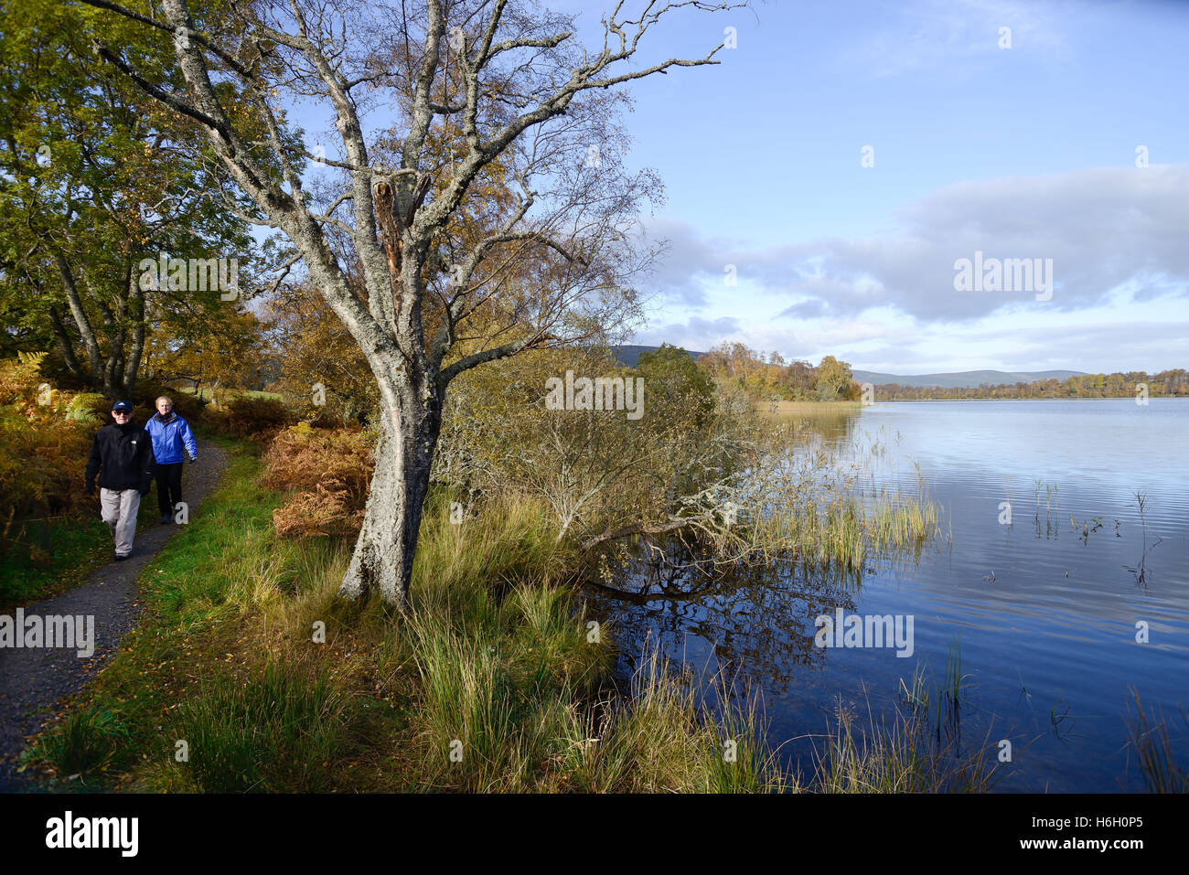Loch Kinord and the Muir of Dinnet National Nature Reserve Cairngorms ...