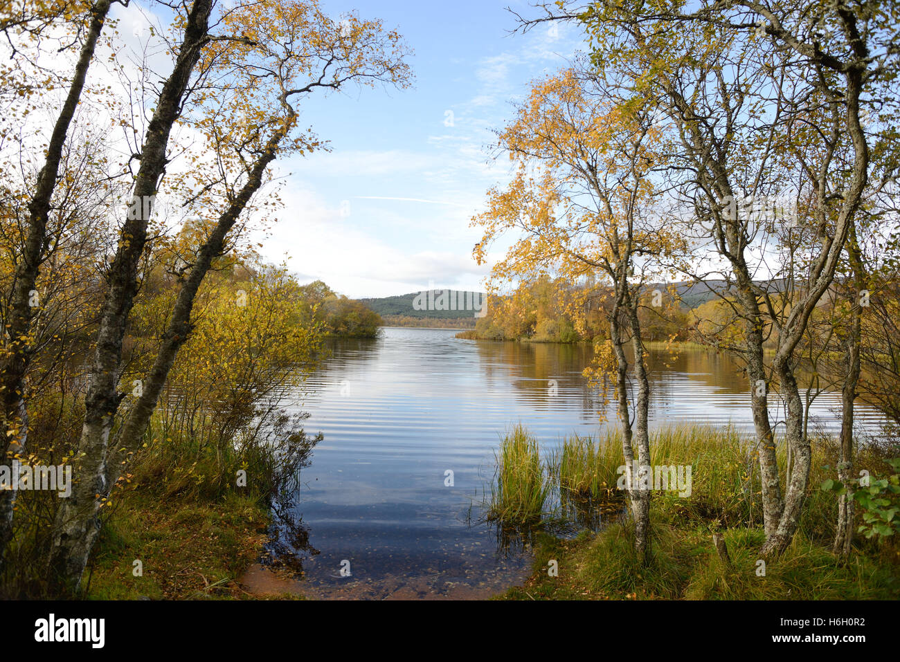 Loch kinord muir dinnet national hi-res stock photography and images ...