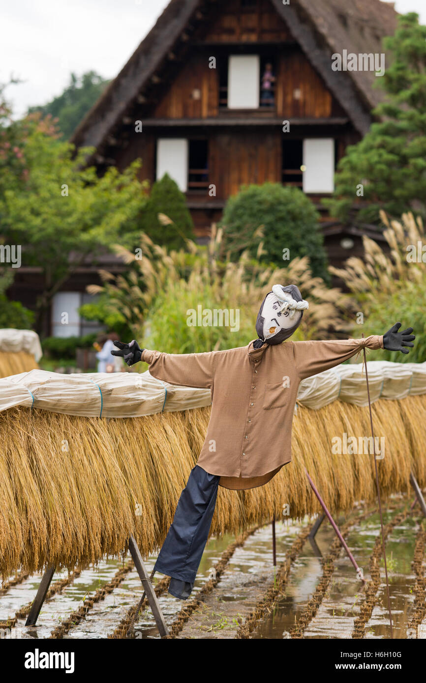 Closeup of scarecrow with drying rice stalks at Shirakawago Stock Photo ...