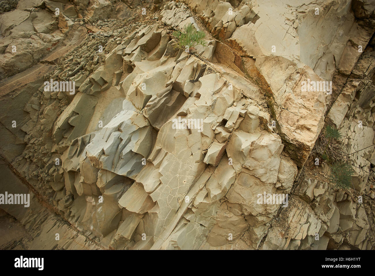 The texture of the rocks with sharp edges. Formations, Sandstone Stock ...