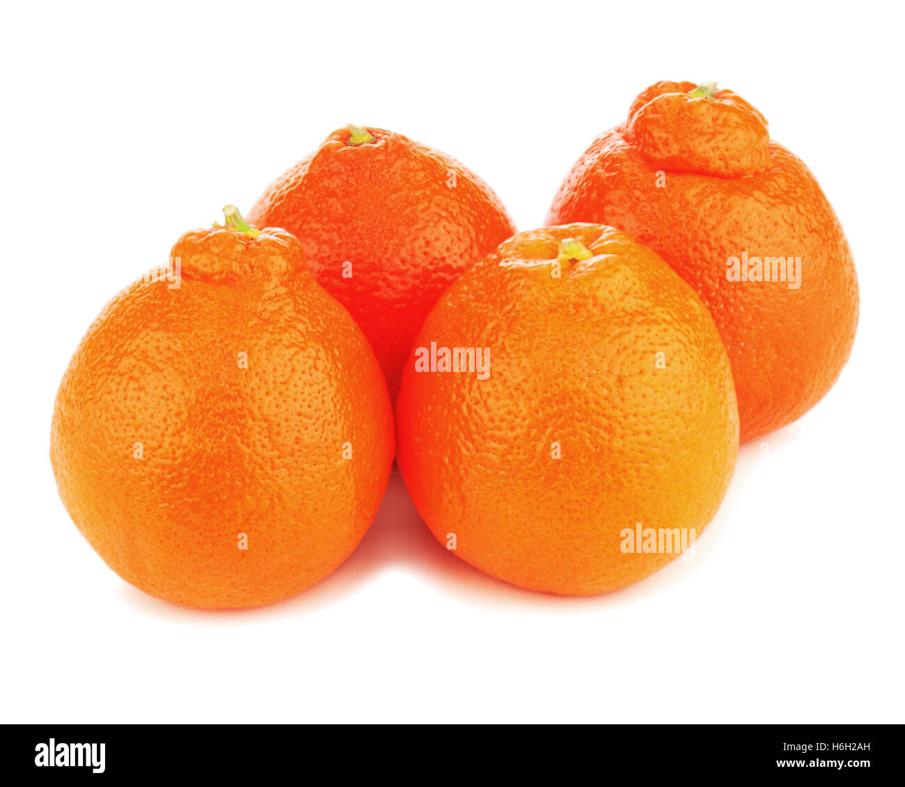 Ripe mineola fruits isolated on white background. Closeup Stock Photo ...