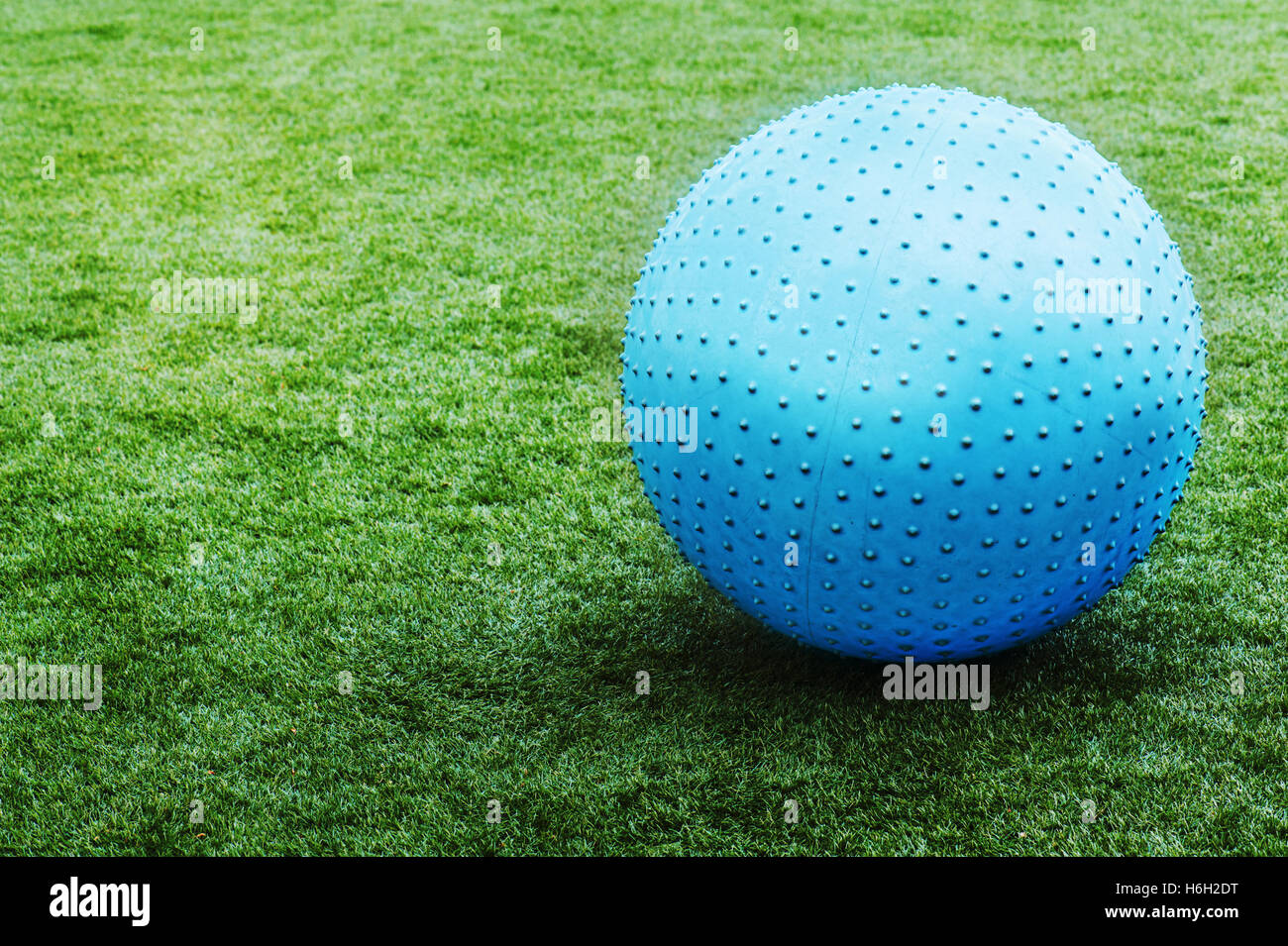 Blue ball on green grass background. Closeup Stock Photo - Alamy