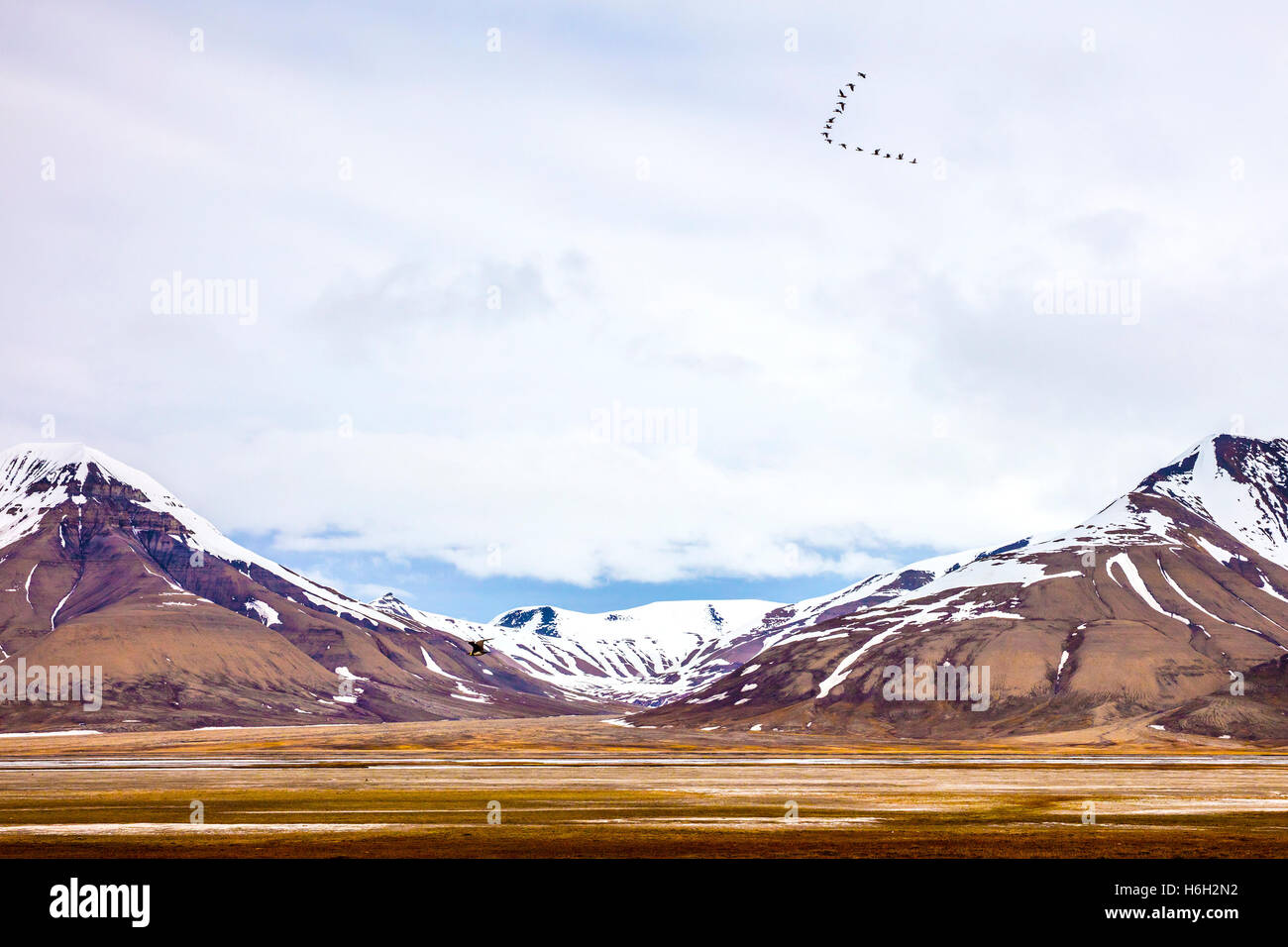 Birds flying between mountains in arctic summer landscape Stock Photo ...