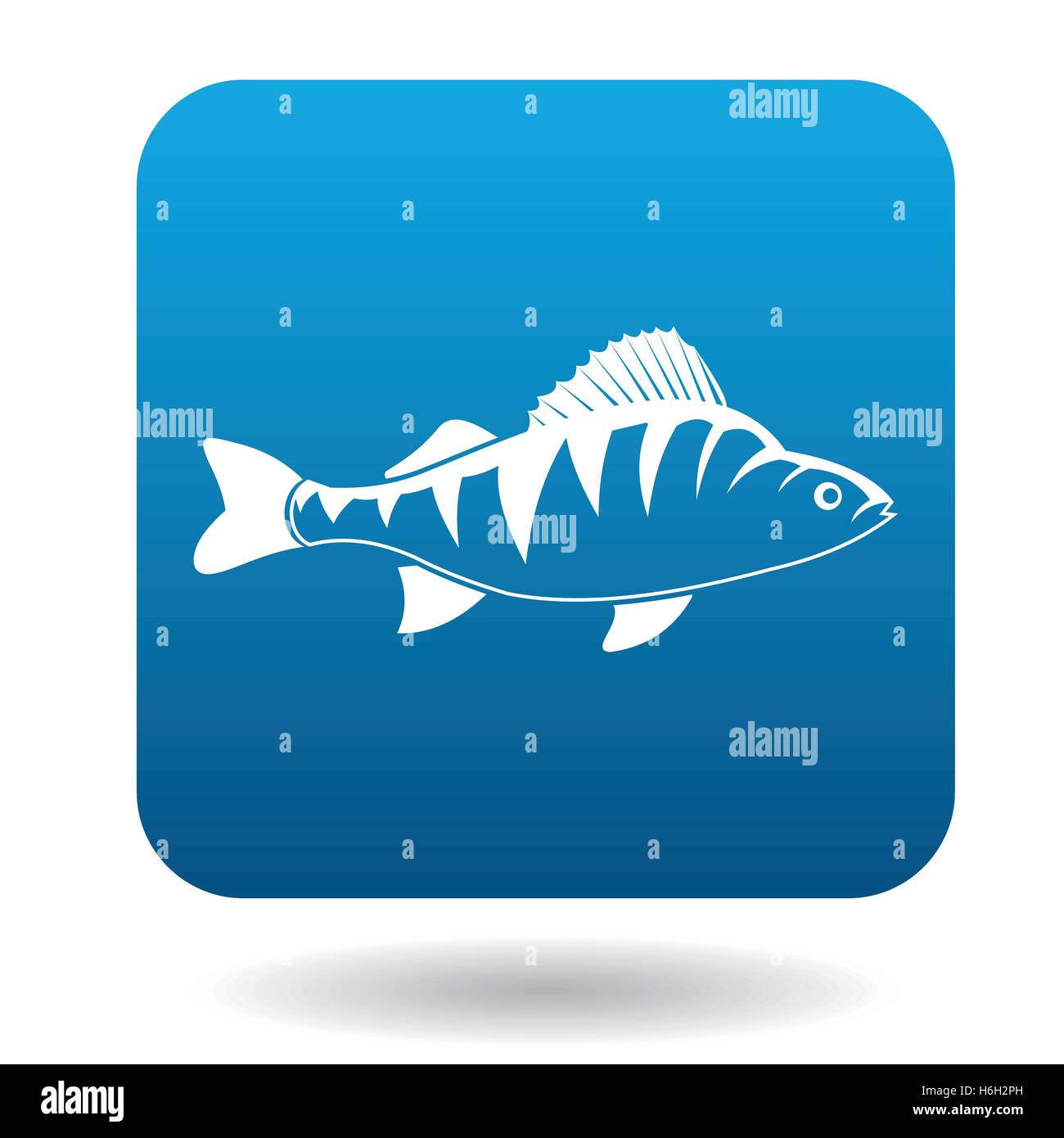 Perch fish icon, simple style Stock Vector Image & Art - Alamy