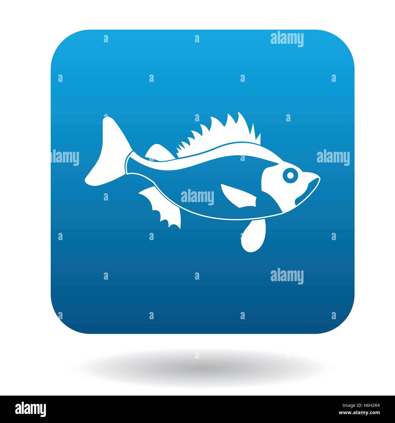 Ruff sea Cut Out Stock Images & Pictures - Alamy