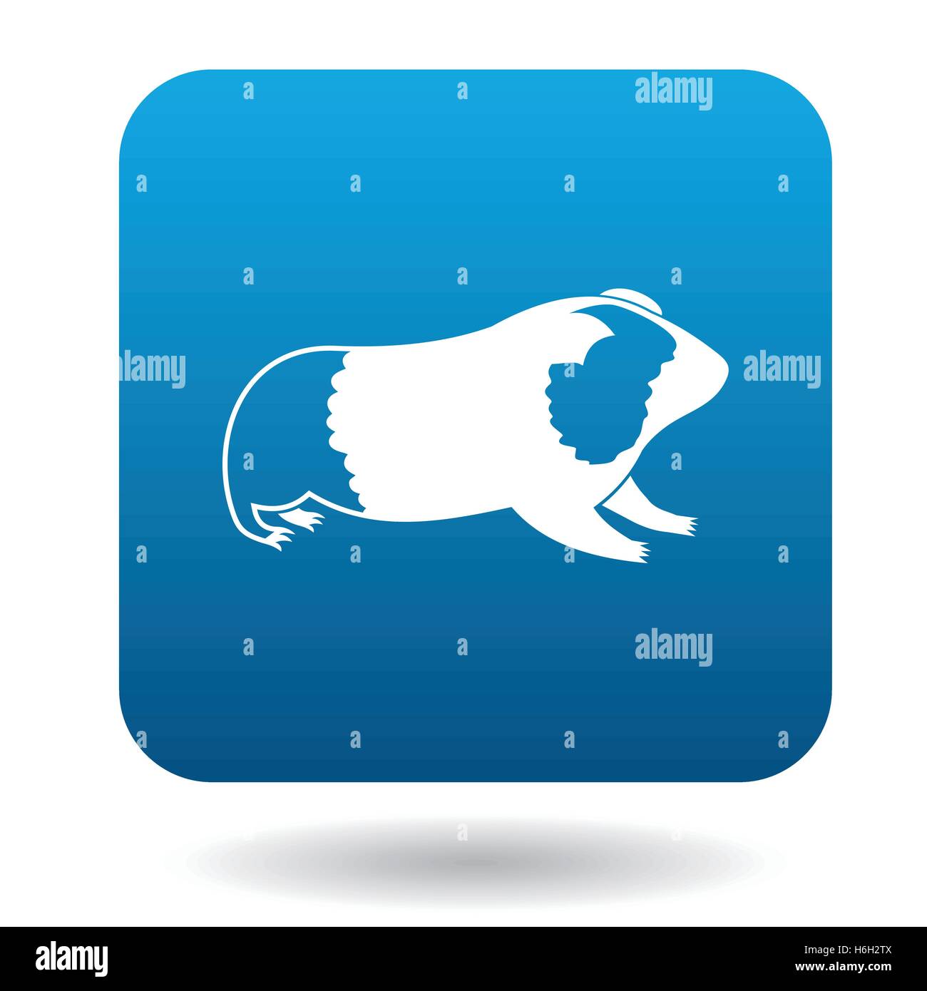 Guinea pig head icon hi-res stock photography and images - Alamy