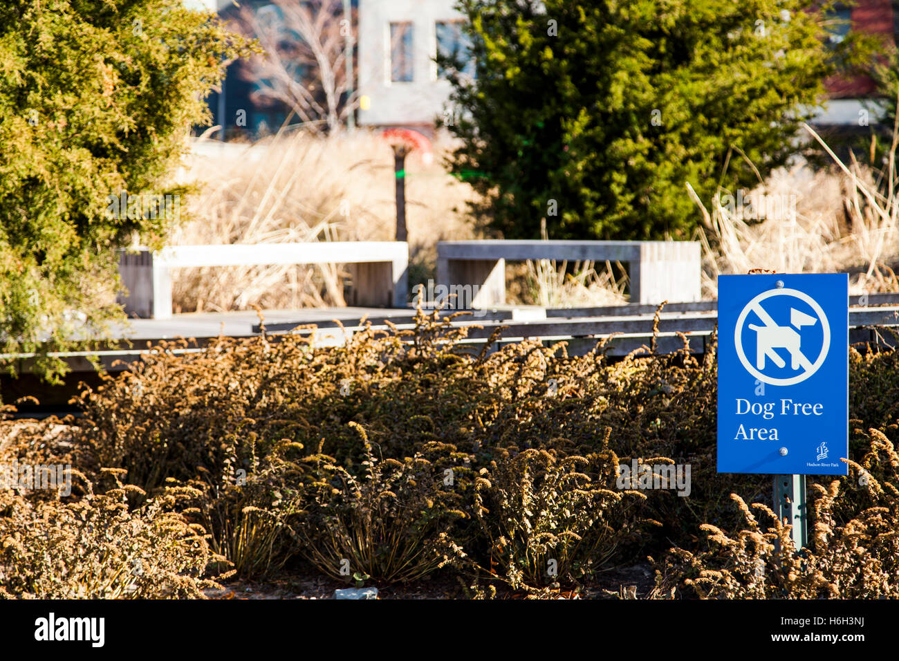 Sign in a park depicting it is a dog free area Stock Photo - Alamy